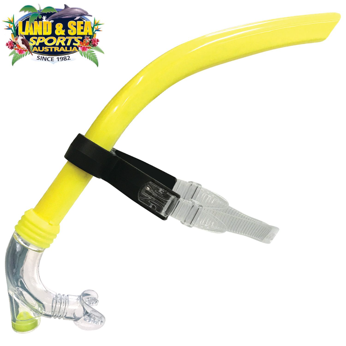 Swim Snorkel – Perth Scuba