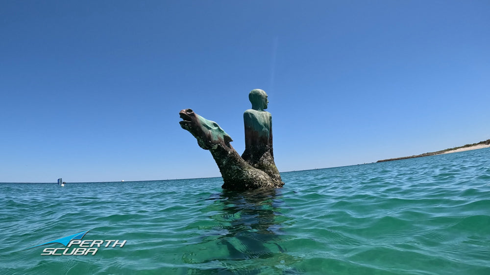 Robb Jetty Sunday Club Dive – Perth Scuba