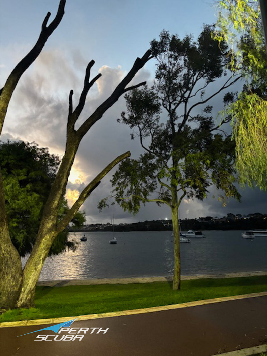 Bicton Baths Club Night Dive – Perth Scuba