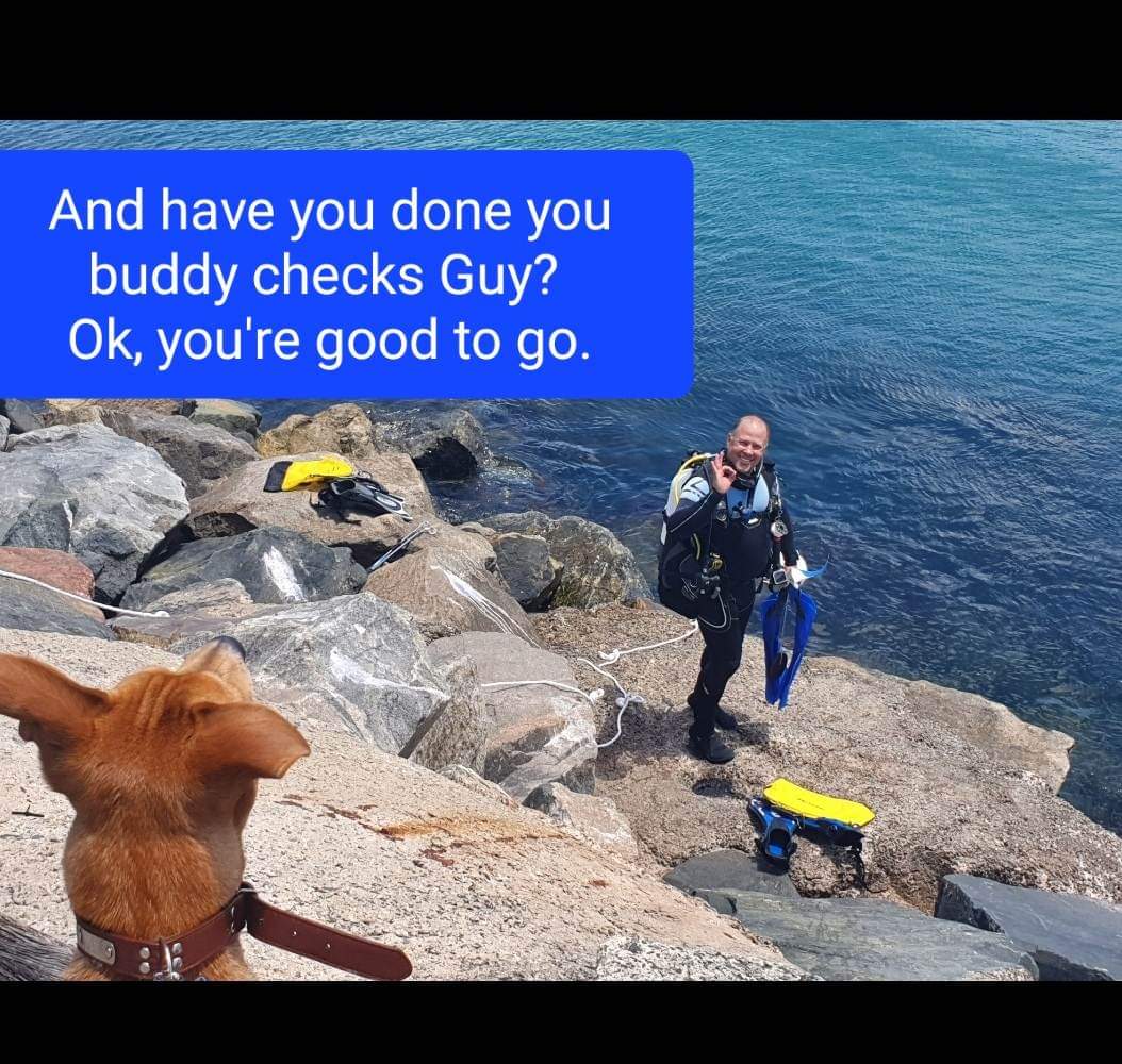 North Mole club dive – Perth Scuba